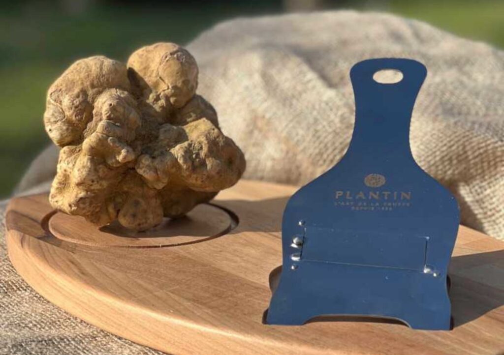 Tout savoir sur la Truffe et sa culture