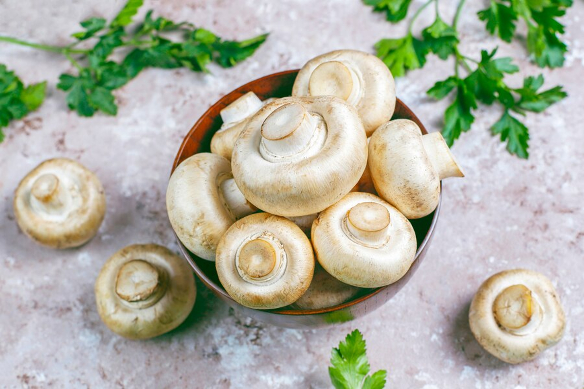 Champignons de Paris pourris, comment savoir