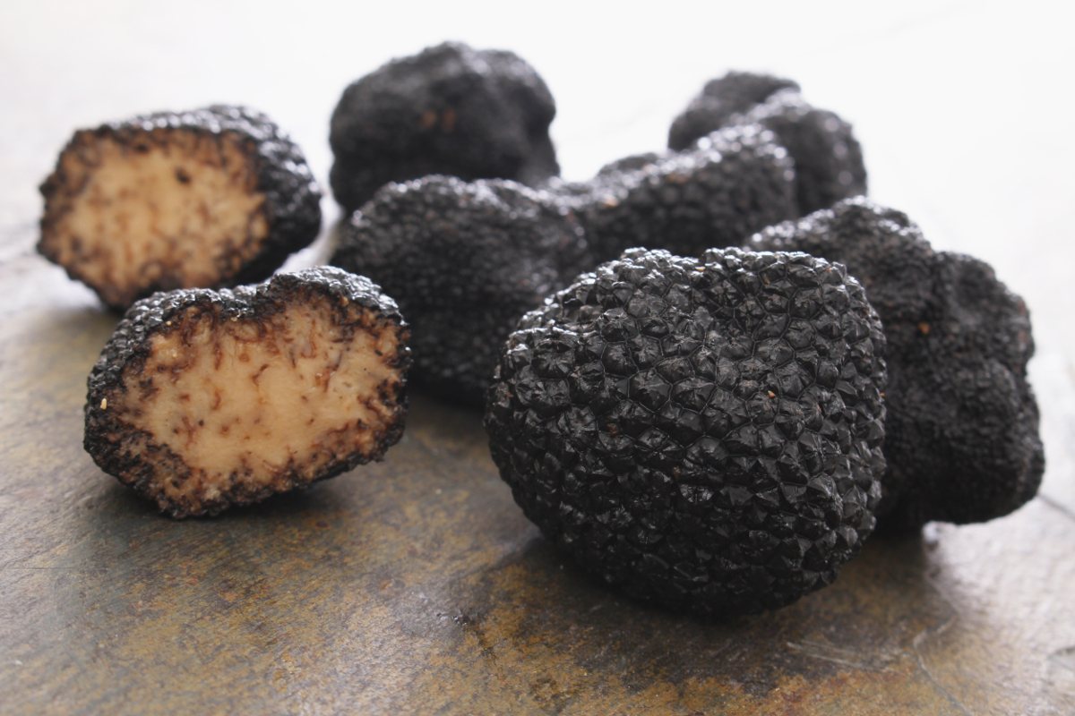 Prix du kilo de truffes : guide complet et conseils pratiques